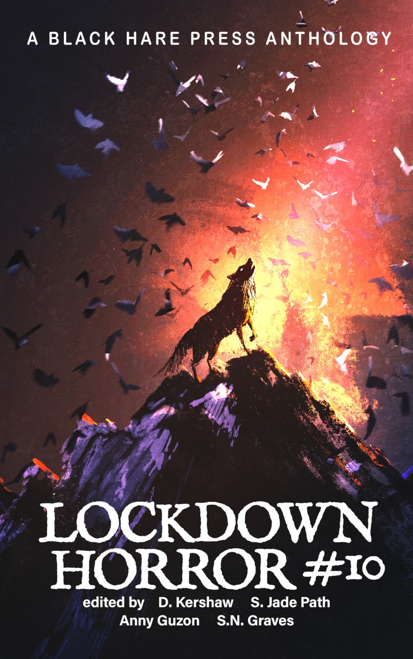 Lockdown Horror #10 – Black Hare Press