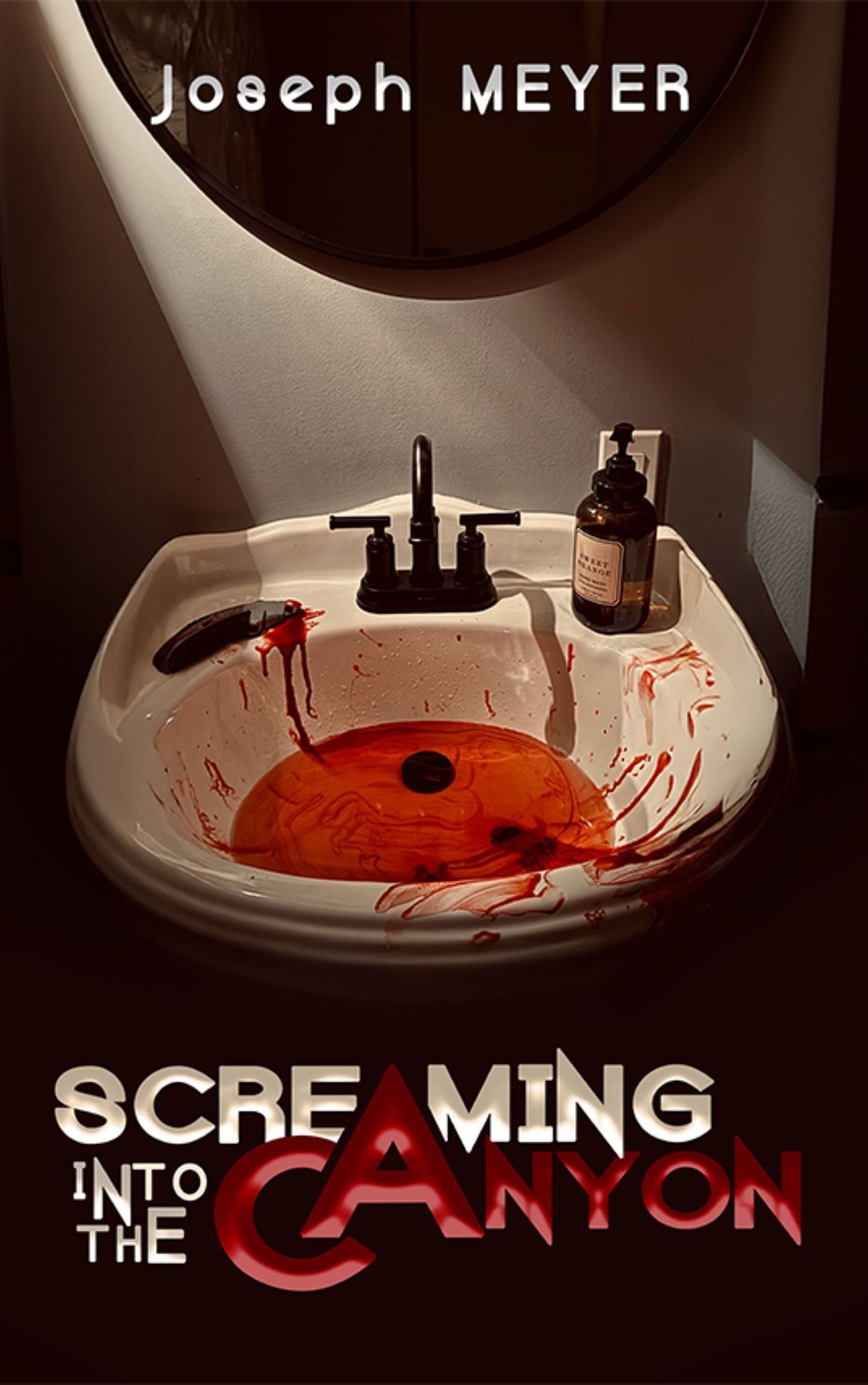 Screaming Into the Canyon by Joseph Meyer – Black Hare Press