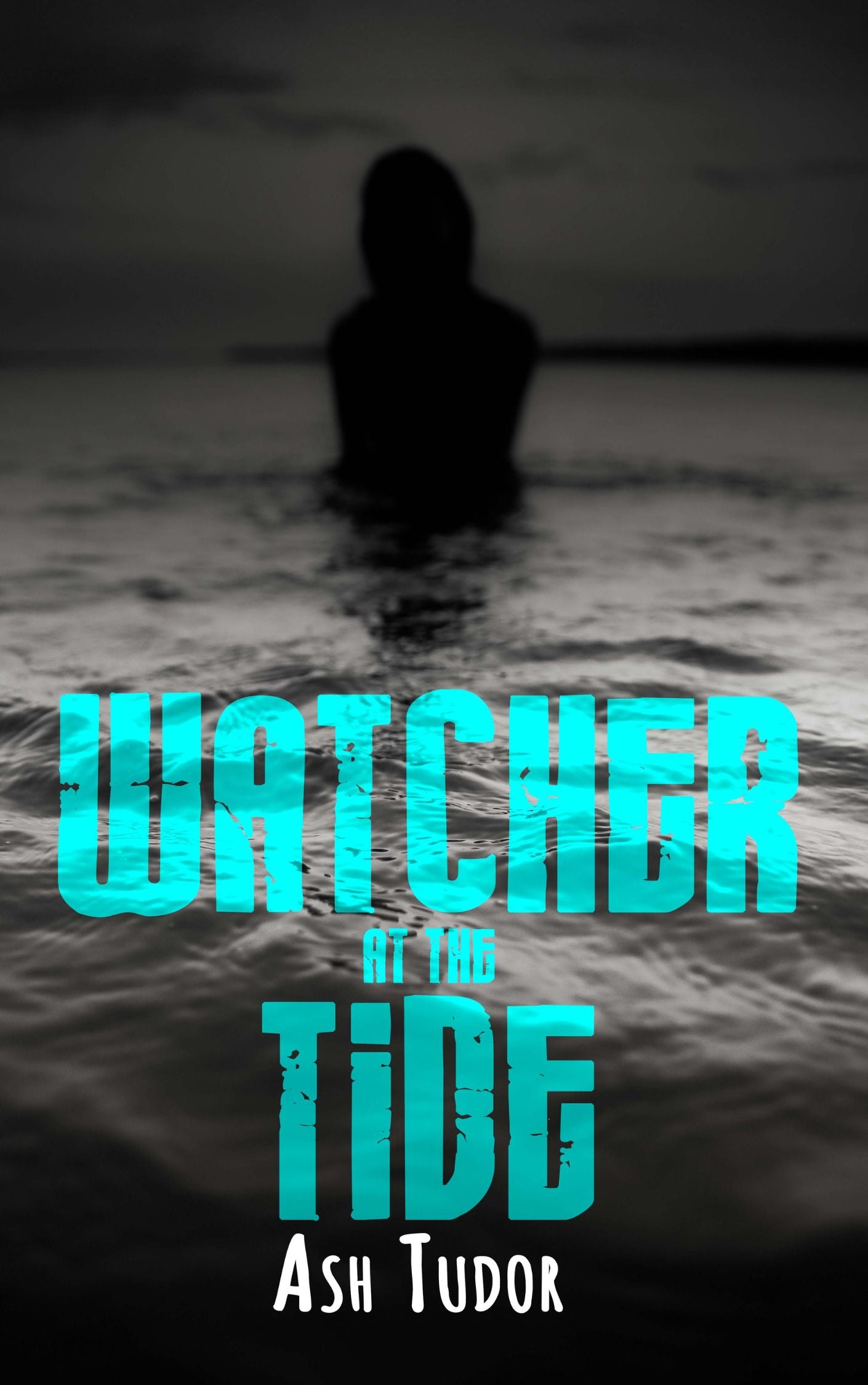Watcher at the Tide by Ash Tudor – Black Hare Press