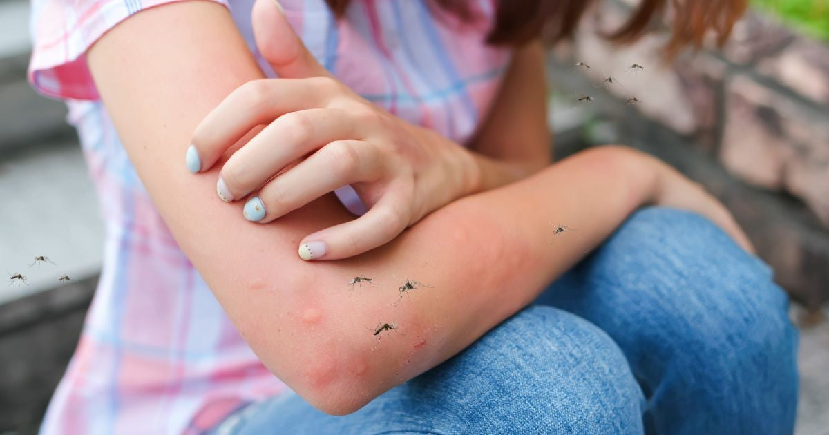 Biter, Bit by Liam Hogan – Black Hare Press